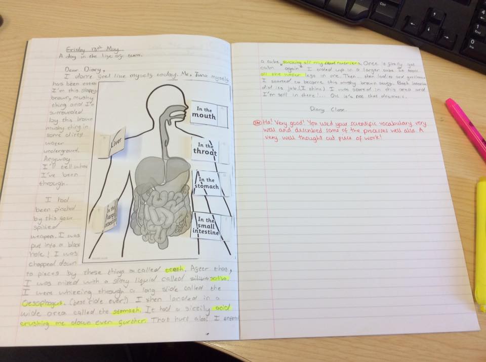 Lesson idea: Science – alittlebutalot